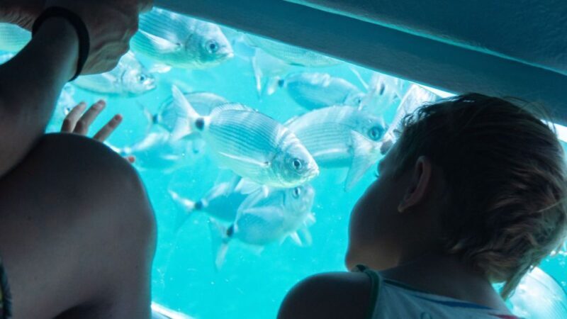 From Roses: Medes Islands Boat Tour with El Estartit Visit - Frequently Asked Questions