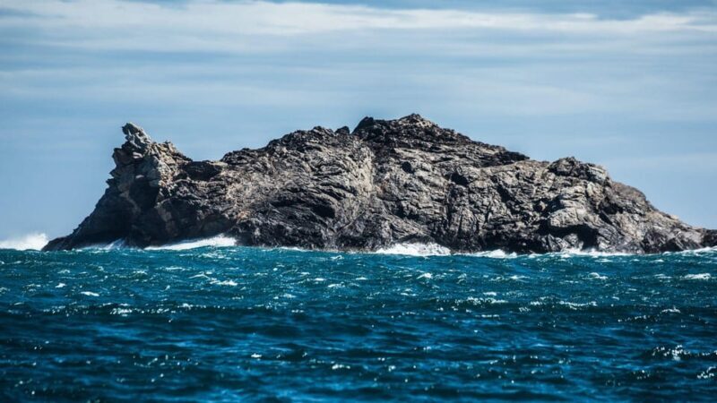 From Roses:Adventure in Cap de Creus: Discover and Swim in a Wild Cove - A Practical Overview of the Experience