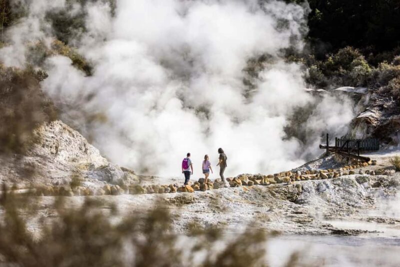 From Rotorua: HELL's GATE Geothermal MUD BATH Half Day Tour - Final Thoughts