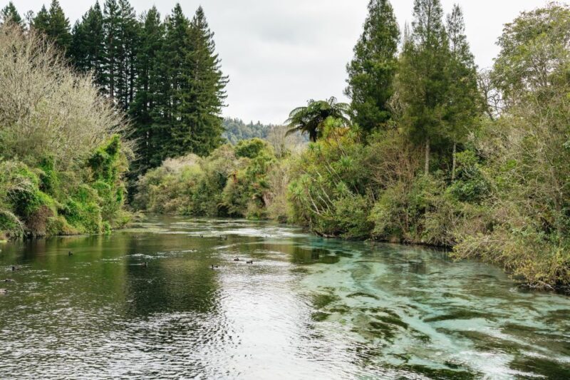 From Rotorua - WAI-O-TAPU - WAIKITE Pool & HUKA FALLS Cruise - Exploring the Geothermal Wonderland: Wai-O-Tapu