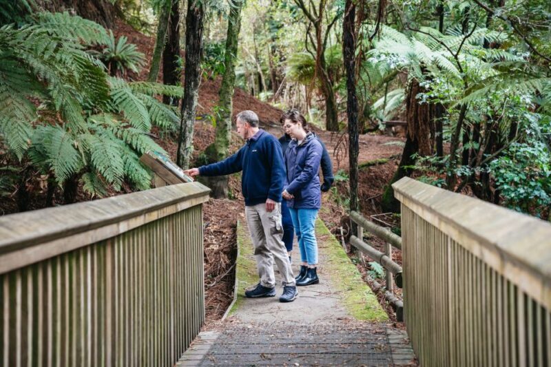 From Rotorua - WAI-O-TAPU - WAIKITE Pool & HUKA FALLS Cruise - What’s Included & Not