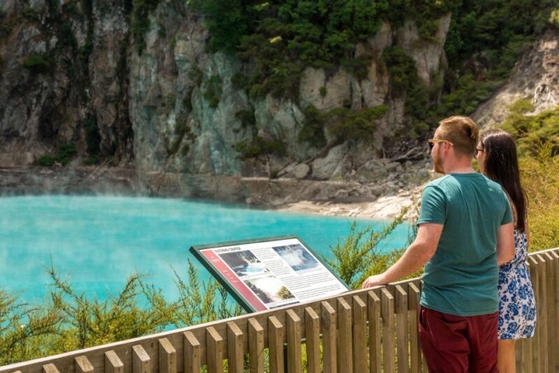 From Rotorua: Wai O Tapu & Waimangu Eco Thermal Morning Tour - An In-Depth Look at the Tour Experience