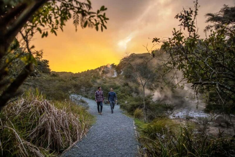 From Rotorua: WAIMANGU VOLCANIC VALLEY Half-Day Tour - An Overview of what to Expect