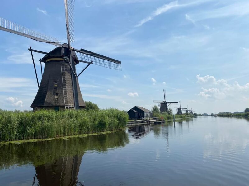 From Rotterdam: Kinderdijk, Delft & The Hague Private Tour - A Deep Dive into the Tour Experience