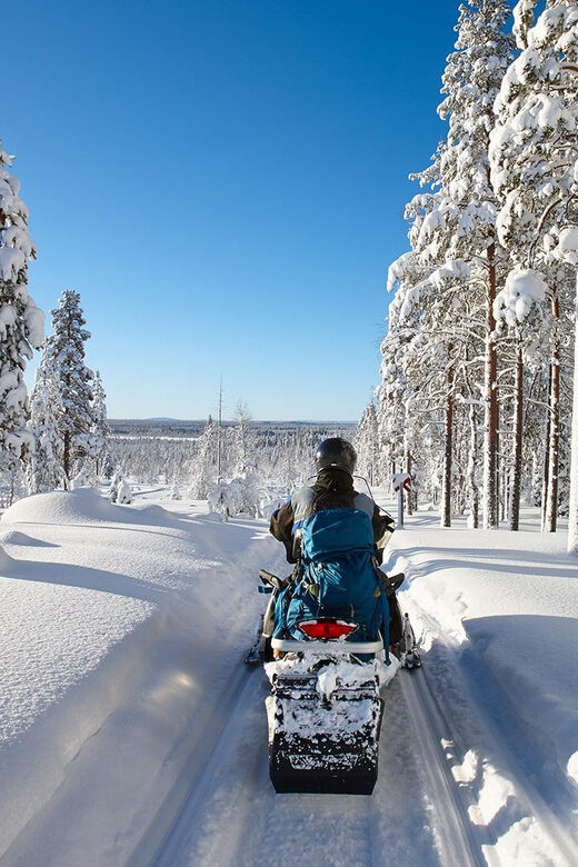 From Rovaniemi: 2-Hour Snowmobile Safari - Practicalities and Tips for Travelers
