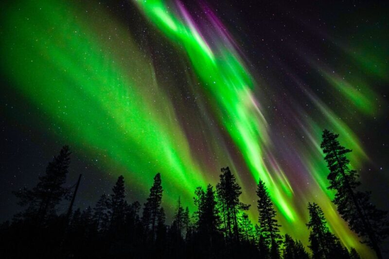From Rovaniemi: Family-Friendly Northern Lights Tour - Key Points