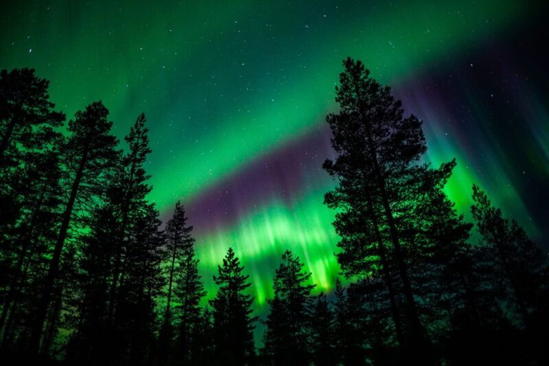 From Rovaniemi: Family-Friendly Northern Lights Tour - The Experience Breakdown