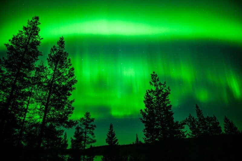 From Rovaniemi: Family-Friendly Northern Lights Tour - Practical Details and Tips