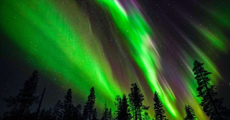 From Rovaniemi: Family-Friendly Northern Lights Tour - Who Will Love This Tour?