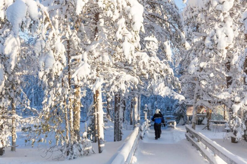 From Rovaniemi: Family Friendly Visit to Ranua Wildlife Park - Final Takeaway