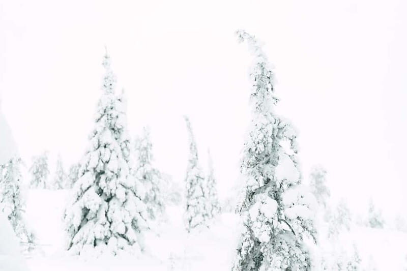 From Rovaniemi: Frozen Wonderland Riisitunturi Winter Hike - An Introduction to the Riisitunturi Winter Hike