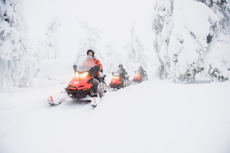 From Rovaniemi: Guided Lapland Snowmobile Adventure - Starting with the Basics: What the Tour Offers