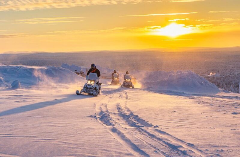 From Rovaniemi: Guided Lapland Snowmobile Adventure - The Experience Itself: What to Expect