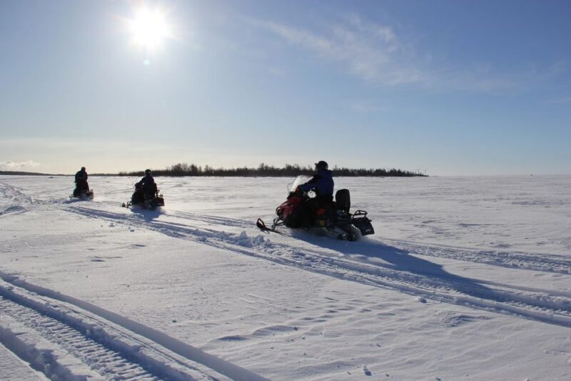 From Rovaniemi: Guided Lapland Snowmobile Adventure - Who Will Love This Tour?