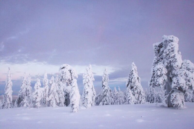 From Rovaniemi: Guided Lapland Snowmobile Adventure - Final Thoughts: Is It Worth It?