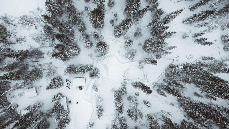 From Rovaniemi: Korouoma & Auttiköngäs Frozen Waterfalls - An In-Depth Look at the Tour Experience