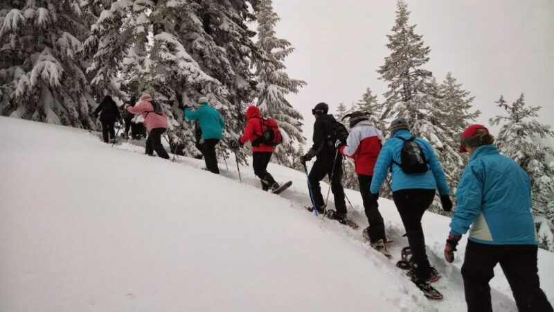From Rovaniemi: Korouoma Frozen Waterfalls Small-Group Hike - The Value of the Tour