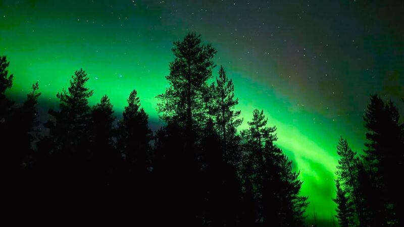 From Rovaniemi: Night Tour in Search of the Aurora with BBQ - Food & Photo Opportunities