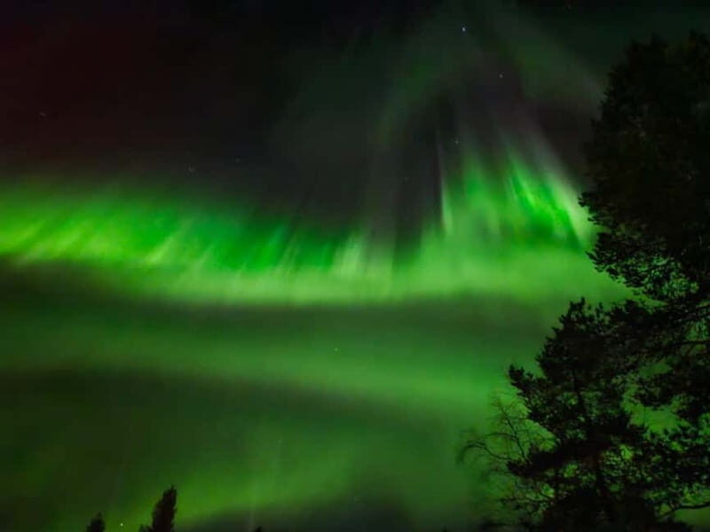 From Rovaniemi: Northern Lights Tour - Key Points
