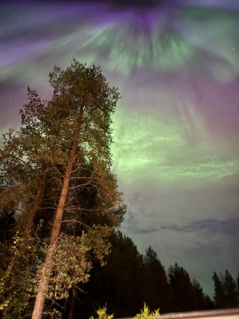 From Rovaniemi: Northern Lights Tour with Campfire Snacks - An In-Depth Look at the Northern Lights Tour