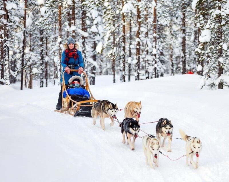 From Rovaniemi: Private Tour to Santa Claus Village - FAQ
