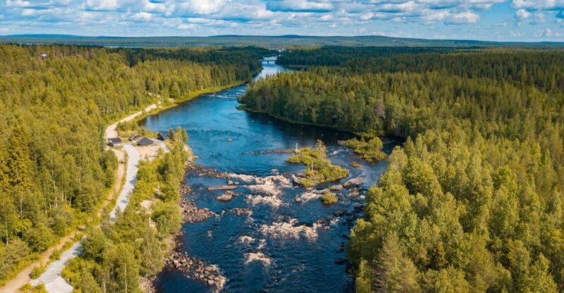 From Rovaniemi: Vikaköngäs Forest Hiking Tour - Key Points
