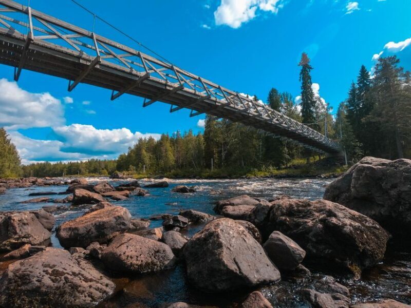 From Rovaniemi: Vikaköngäs Forest Hiking Tour - The Authenticity and Value