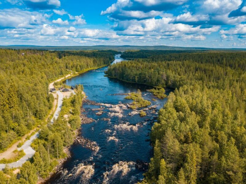 From Rovaniemi: Vikaköngäs Forest Hiking Tour - Why This Tour Is Worth Considering