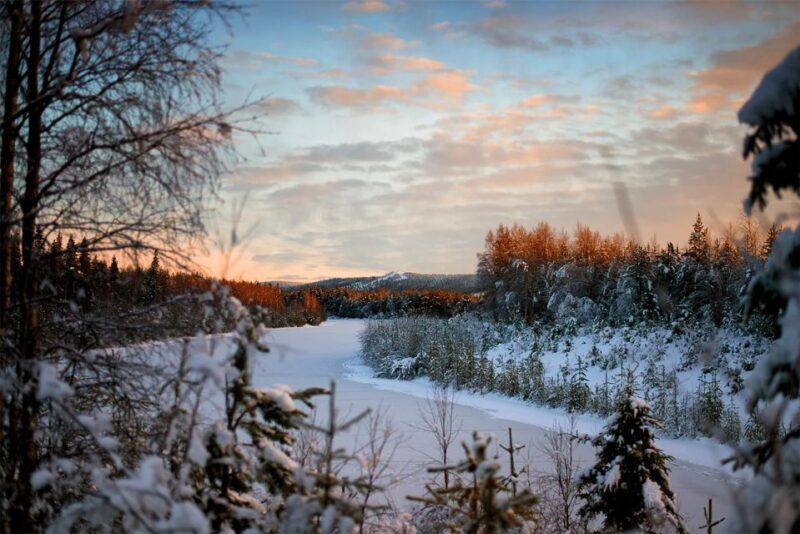 From Rovaniemi: Vikaköngäs Forest Hiking Tour - FAQ