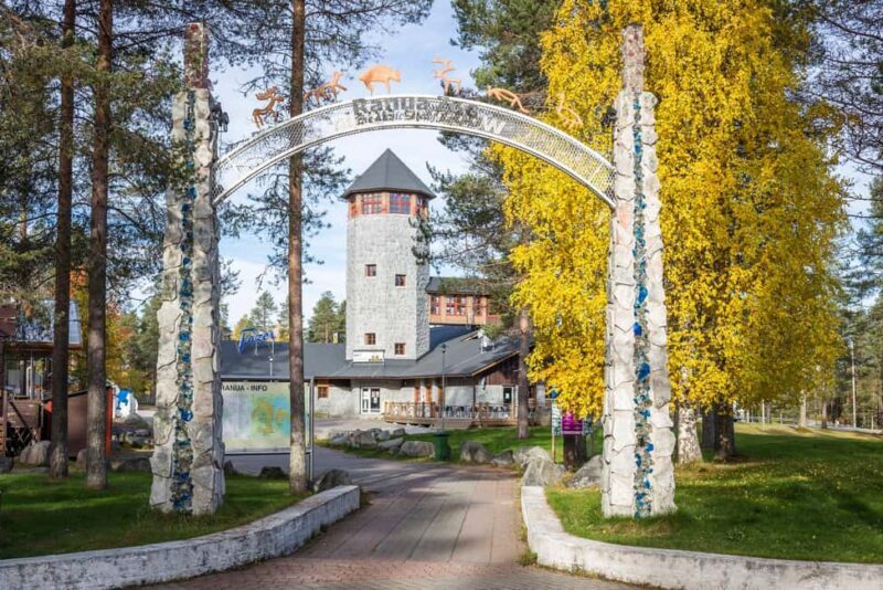 From Rovaniemi: Visit Wildlife Park in Ranua - An In-Depth Look at the Ranua Wildlife Park Tour