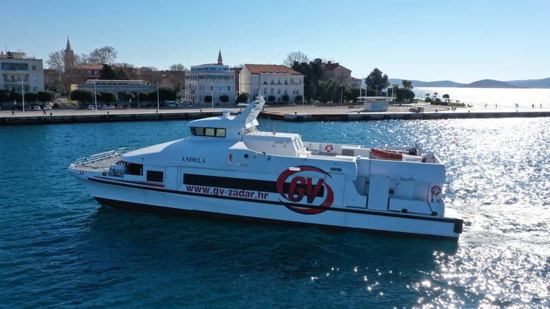 From Rovinj: Venice Boat Trip with Day or One-Way Option - The Practical Details