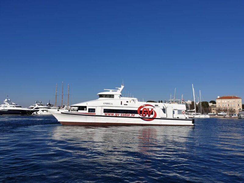 From Rovinj: Venice Boat Trip with Day or One-Way Option - Who Should Consider This Tour?
