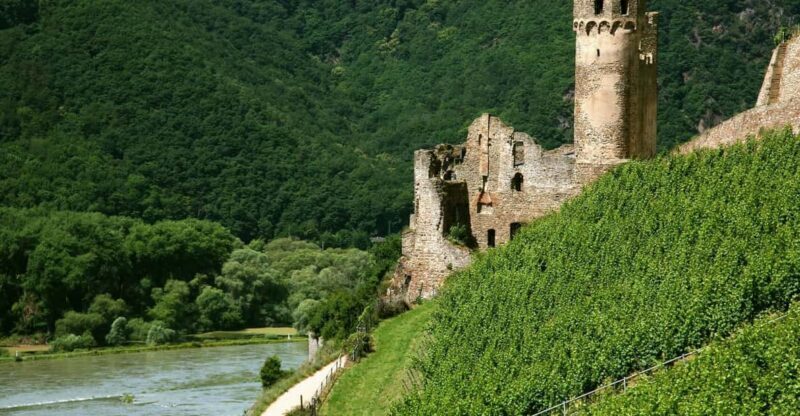 From Rüdesheim: 1.5-Hour Boat Cruise with Wine Tasting - A Closer Look at the Cruise Experience