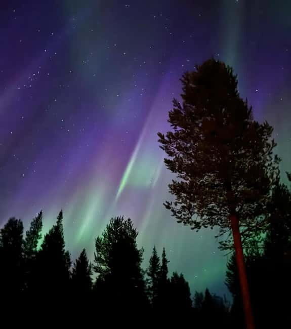 From Ruka: Northern Lights Wilderness Tour with Van - Key Points:
