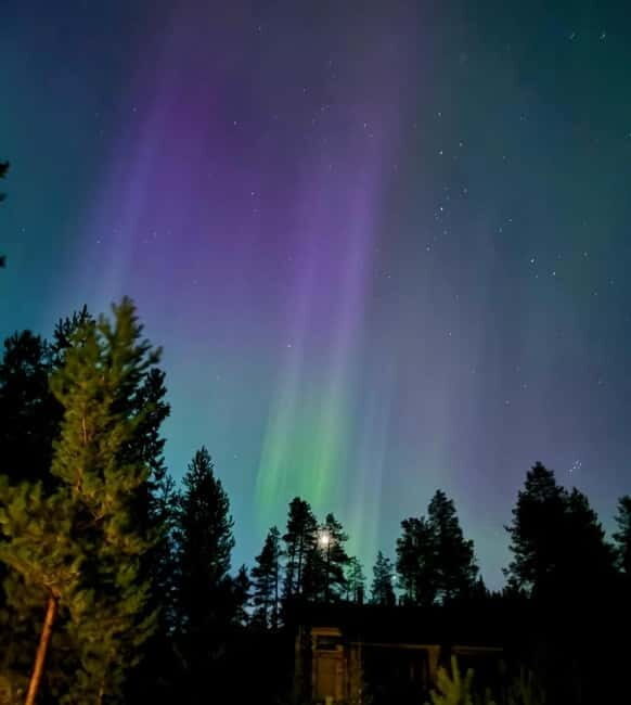 From Ruka: Northern Lights Wilderness Tour with Van - The Value and Practicalities