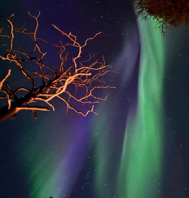 From Ruka: Northern Lights Wilderness Tour with Van - Final Thoughts: Is It For You?