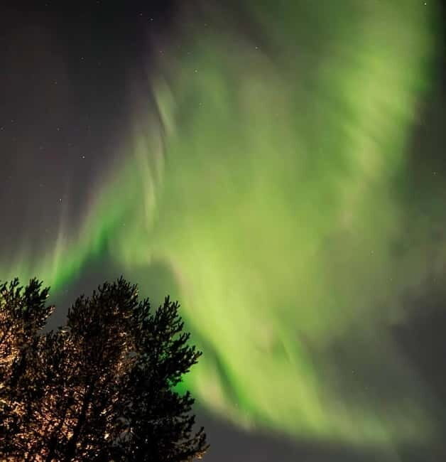 From Ruka: Northern Lights Wilderness Tour with Van - Final Words