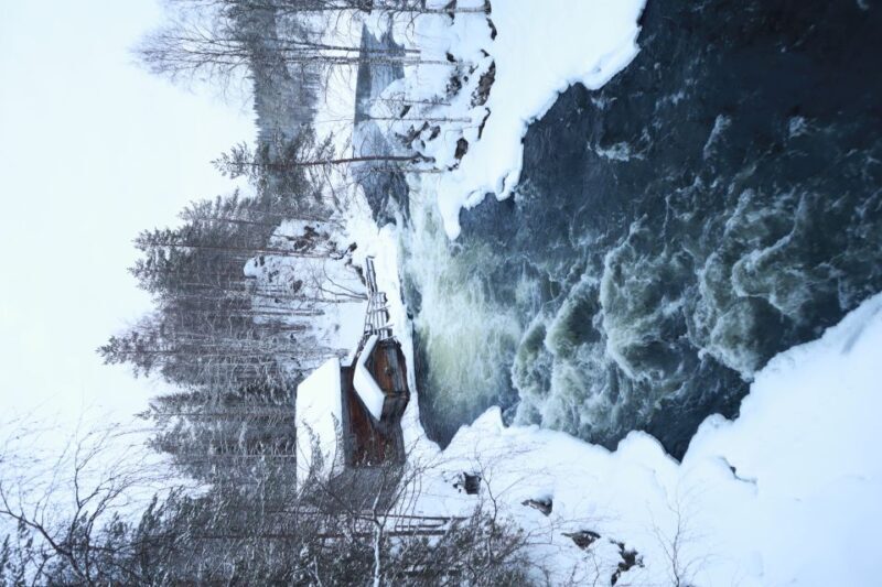 From Ruka: Snowshoeing in Oulanka National Park - The Experiences Value