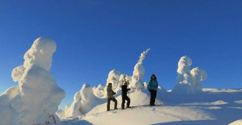 From Ruka: Snowshoeing in Riisitunturi National park - From Ruka: Snowshoeing in Riisitunturi National Park