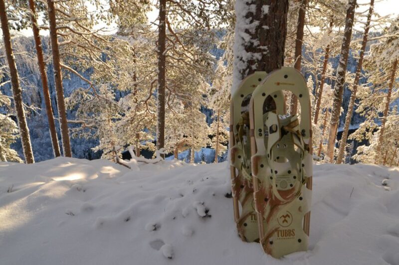 From Ruka: Snowshoeing in Riisitunturi National park - Key Points