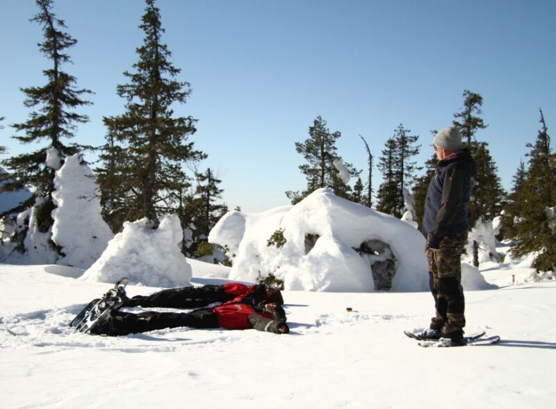 From Ruka: Snowshoeing in Riisitunturi National park - The Value of This Tour