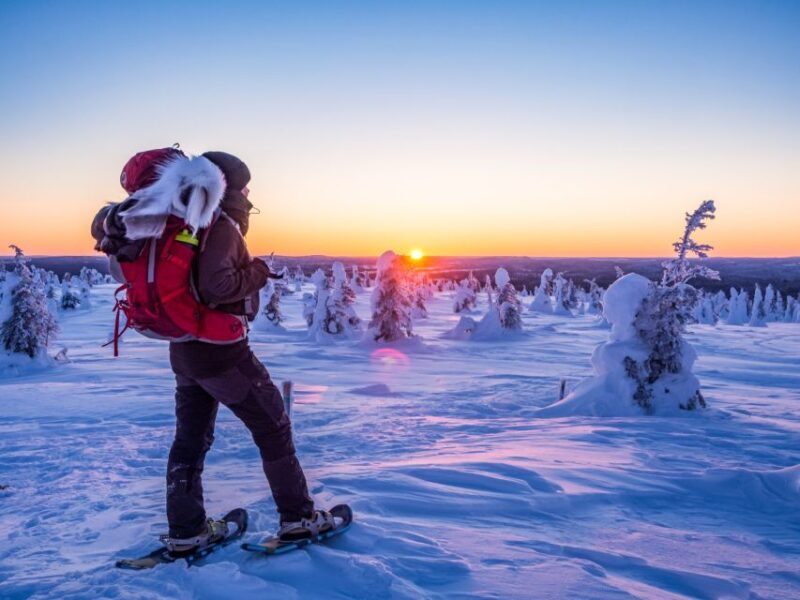 From Ruka: Snowshoeing in Riisitunturi National park - Who Will Love This Experience?