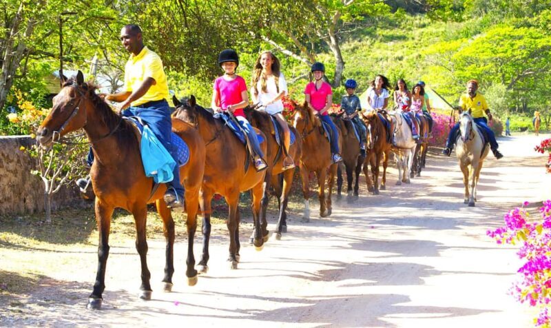 From Runaway Bay: Horseback Ride and Swim Countryside Tour - Authenticity & Value