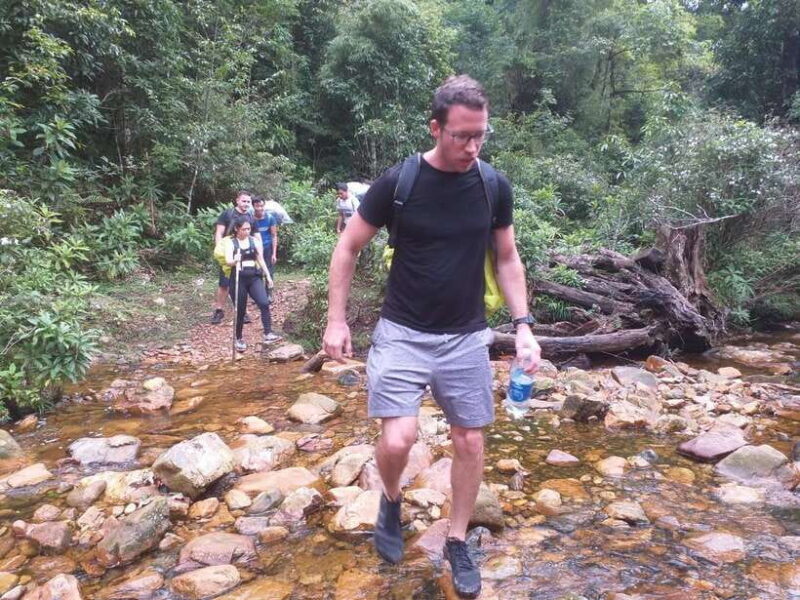 From Sa Pa: One Day Fansipan Mountain Trek - Key Points