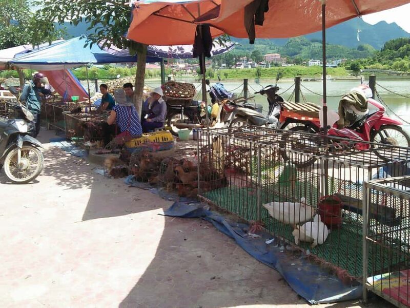 From Sa Pa: Sunday Bac Ha Market Group Tour - The Sum Up
