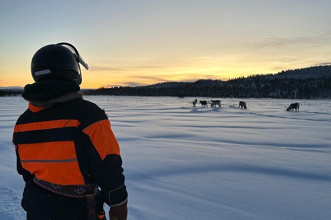 From Saariselkä: Ice Fishing Tour to Lake Inari, reindeers &lunch - Insights from Actual Travelers