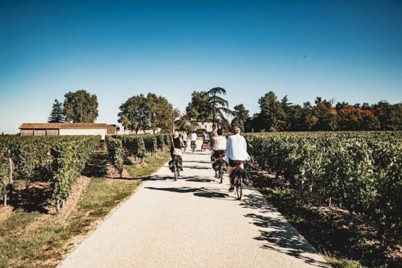 From Saint-Emilion : Half Day Electric Bike Tour - In-Depth: Breaking Down the Itinerary