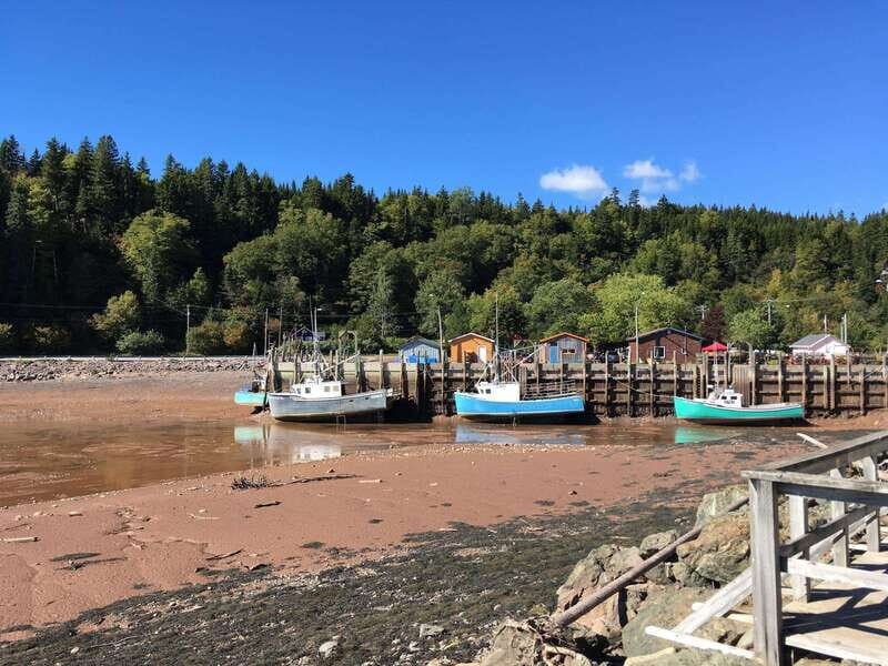 From Saint John: Bay of Fundy Bus Trip for Cruise Passengers - Introduction: A Well-Rounded Tour for Cruise Passengers