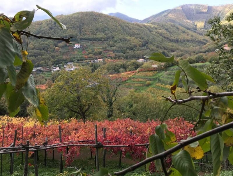 From Salerno: Amalfi Coast Tour and Wine Tasting with Lunch - Our Impressions and Final Thoughts