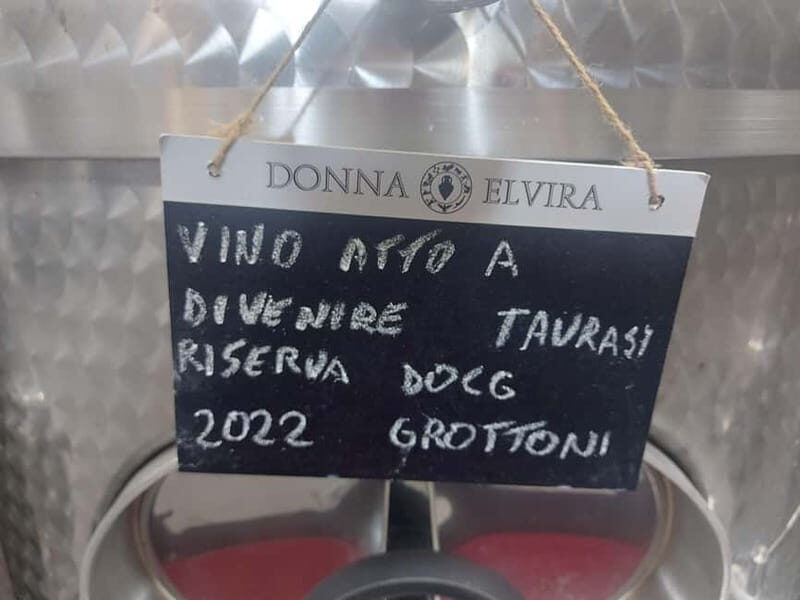 From Salerno: Irpinia Wine Tour Half-Day Trip - Introduction: Why This Half-Day Irpinia Wine Tour Is Worth Considering